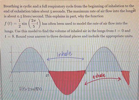 Breathing Is Cyclic And A Full Respiratory Cycle From The Beginning Of
