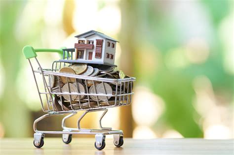 자연 배경 쇼핑 카트 및 하우스 모델에서 돈을 수집 동전 의 개념을 절약 배경 비즈니스 개념 및 텍스트 복사 공간 개념을 저장 가격에 대한 스톡 사진 및 기타 이미지