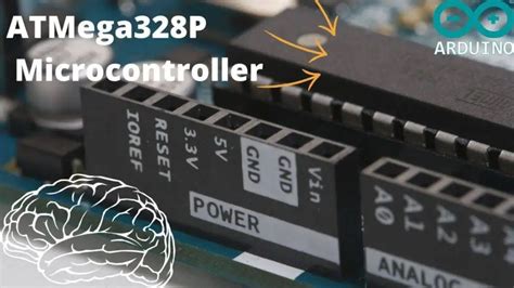 Microcontroller Vs Microprocessor The Core Of Modern Technology