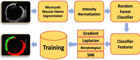 Flow Chart Of OCT Image Segmentation A Shows The OCT Image Download Scientific Diagram