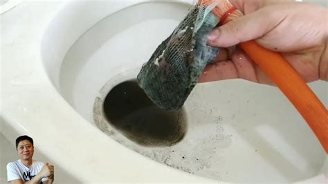 水草翻缸排水管不堵塞的虹吸絕招 莫絲牆生鏽補救 流理臺網袋 巨大虹吸管水神器 攔截底床髒污 魚缸水族清洗 YouTube