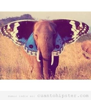 Mitología Cuánto Hipster