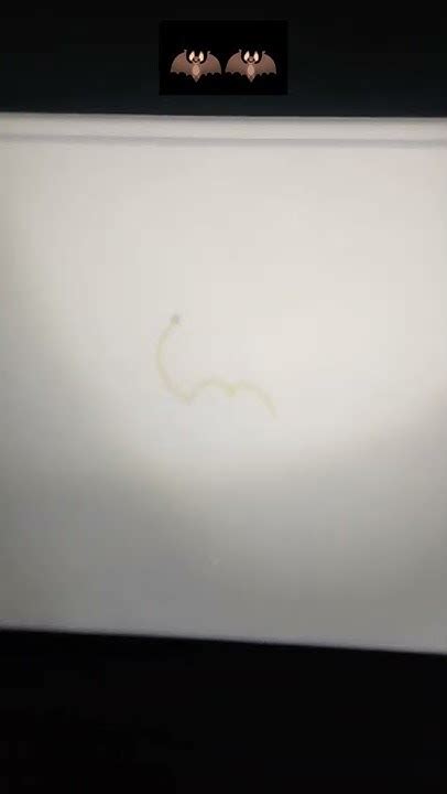 how to draw batman in python shorts turtle graphics hacker heart motivation flash freefire