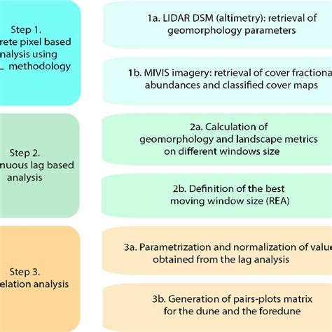 Implementation Workflow Download Scientific Diagram