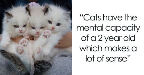 28 People Share The Weirdest Animal Facts They Know