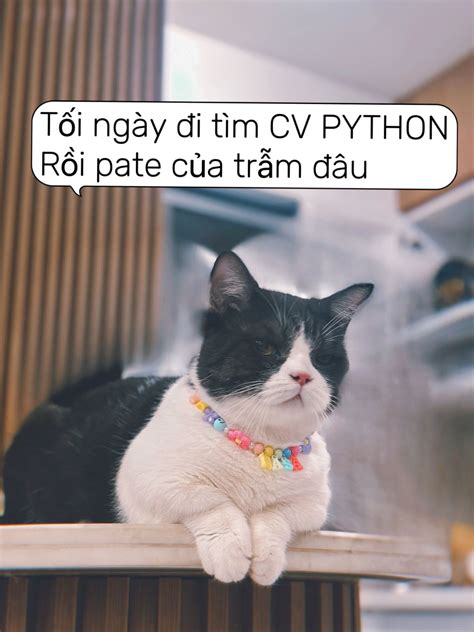Nghi Nguyen On Linkedin Fetchtechnology Python Itjobs Developers