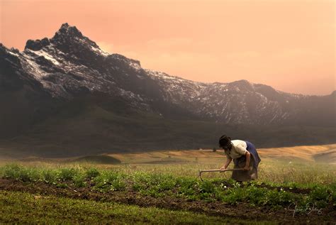 Architecture And Transitional Spaces Type Experiments Behance