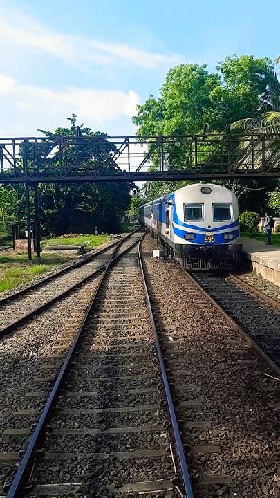 රුහුණෙ රැජින ඉතිං රුහුණු කුමාරි තමයි 😍🚊 බලන්නකෝ මෙයාගේ ගමන 🇱🇰 Train Travel Srilanka Youtube
