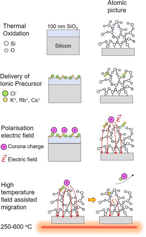 Flow Chart Of Experimental Process Download Scientific Diagram