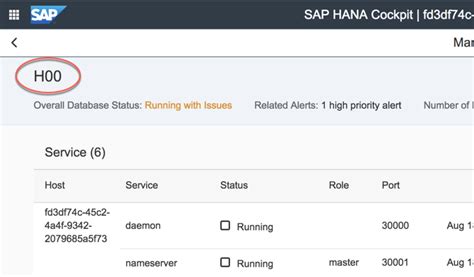 Setting Up The New Hana Service In Sap Cloud Platf Sap Community
