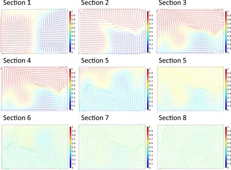 The Velocity Field And Concentration Distribution Field Of Skfb