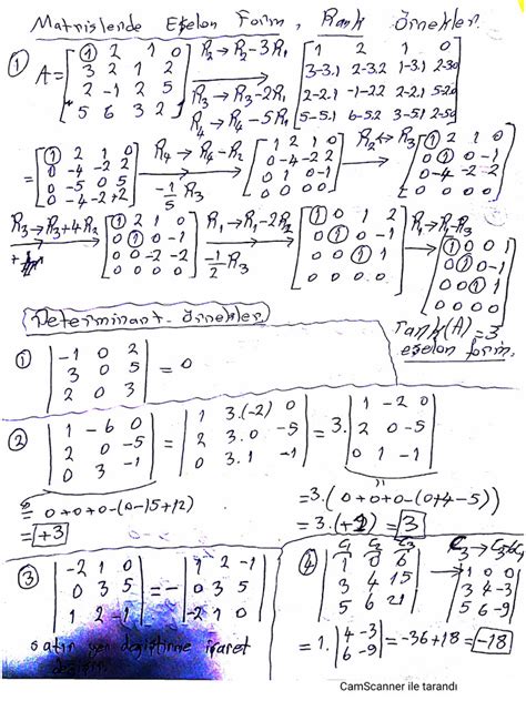 2 Echelon Matrix And Determinant Examples 2 Pdf