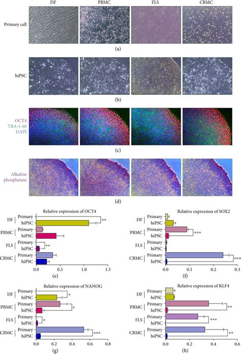 Characterization Of Df Pbmc Fls And Cbmc Hipscs A The Download Scientific Diagram