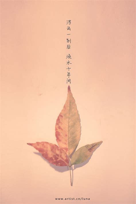 时光荏苒文字 图库 五毛网
