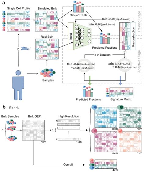 港中大团队开发了一种连接批量 Rna Seq 和单细胞 Rna Seq 的深度学习方法 知乎
