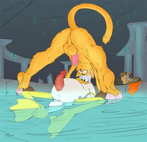 Rule 34 Anatid Anseriform Anthro Avian Bird Domestic Cat Duck Duo