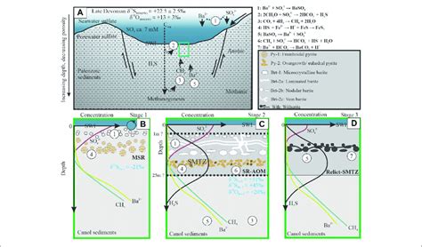 A Schematic Illustration Of Temporal Late Devonian Diagenetic Download Scientific Diagram