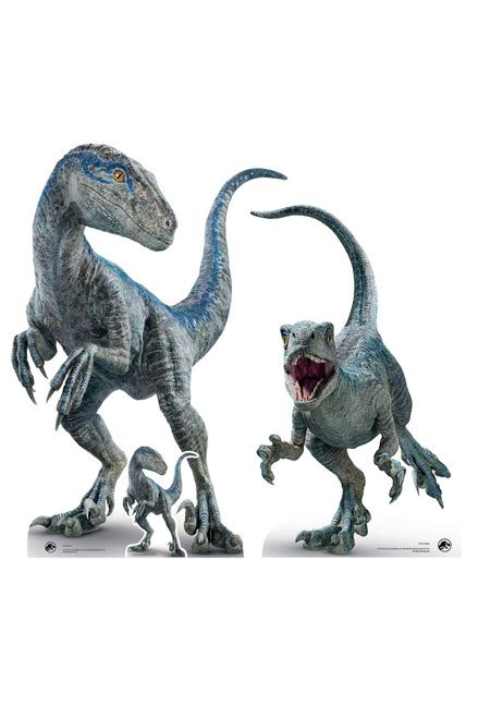 Velociraptor Size Jurassic Park