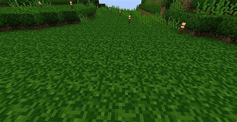 BETTER GRASS COLOR Any Resolution Any Texture Pack Minecraft Texture Pack