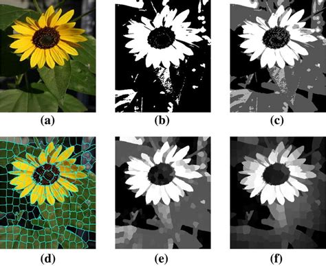 Illustration Of Segmentation Results Through Different Optimization Download Scientific Diagram