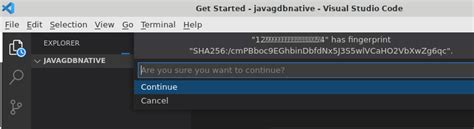 Graalvm Native Image Debugging