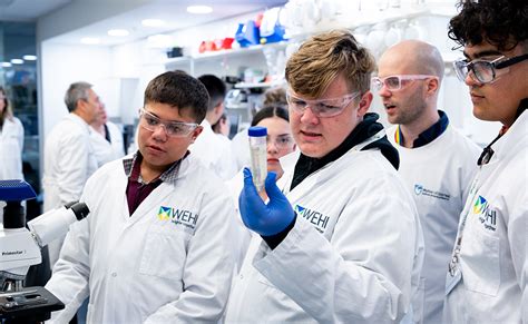 Wehi Deadlyscience Pathways Program Wehi