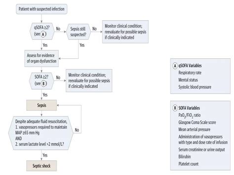 Sepsis And Rational Use Of Abx Pptx