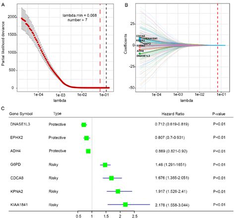 Development Of The Prognostic Gene Signature Using Lasso Regression