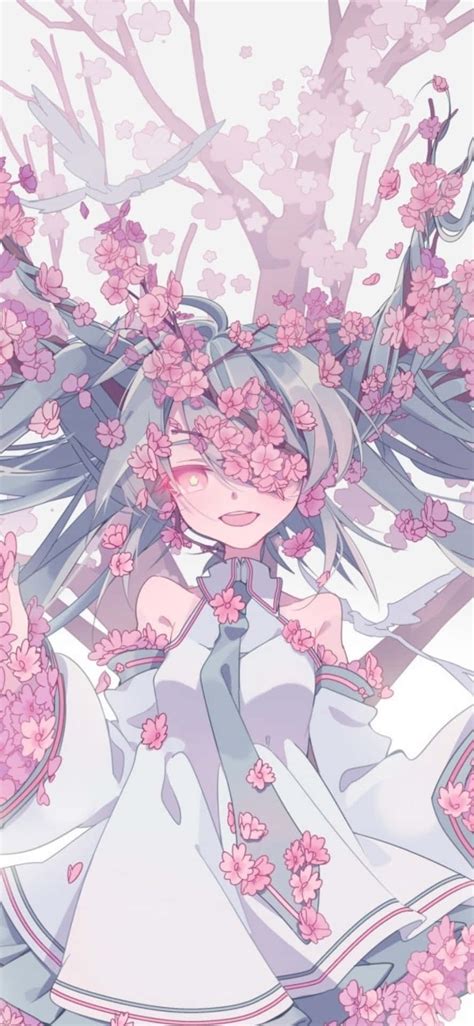 Sakura Miku Wallpapers Wallpapers Com