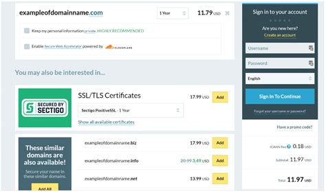 How To Secure A Domain Name Elichoice