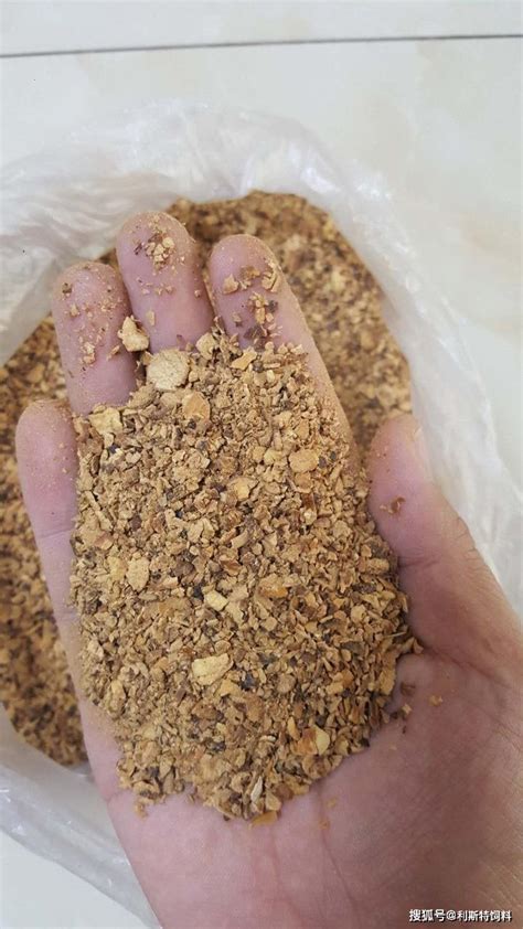 豆粕喂牛好吗 一天 饲料 大山谷图库