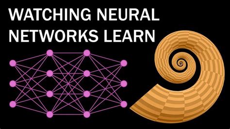 Alexander Daly On Linkedin Watching Neural Networks Learn