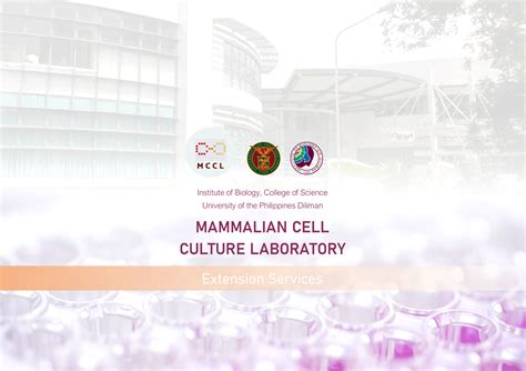 Mammalian Cell Culture Laboratory Facebook