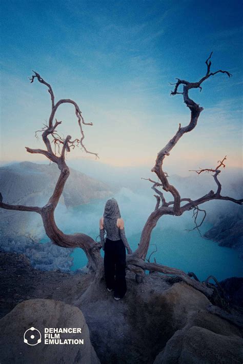 Dreamy And Film Effects In Adobe Lightroom And Photoshop Dehancer