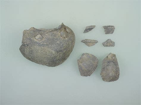 壷 文化遺産オンライン