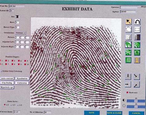 Automated Fingerprint Identification Wikiwand