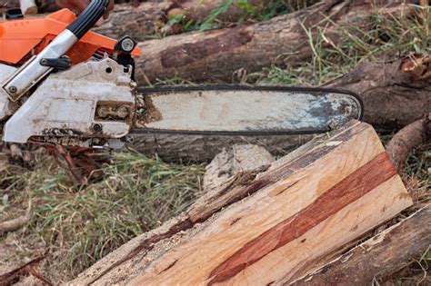 작업자는 전기톱으로 작업합니다 전기 톱을 닫습니다 나무 꾼은 전기 톱 나무를 톱 톱 먼지와 움직임으로 나무를 절단 하는 남자
