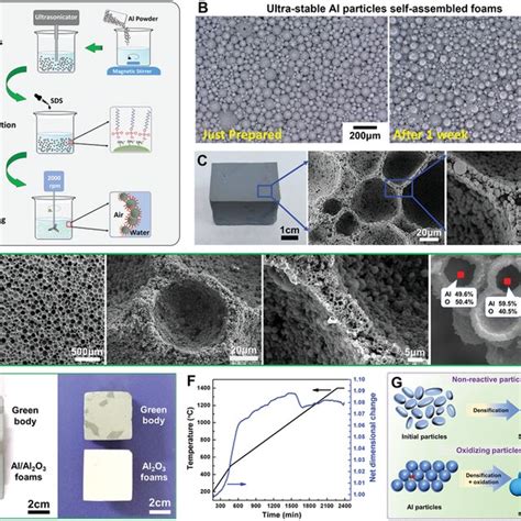 Mechanical Properties Of The Hierarchical Porous Materials A B Download Scientific Diagram