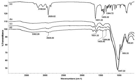 Ft Ir Spectra Of Caprolactam A And E Sio2 Network 1 2
