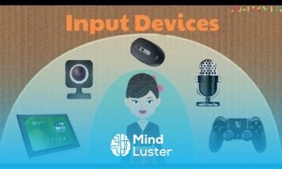 Learn Input Devices Of Computer Mind Luster