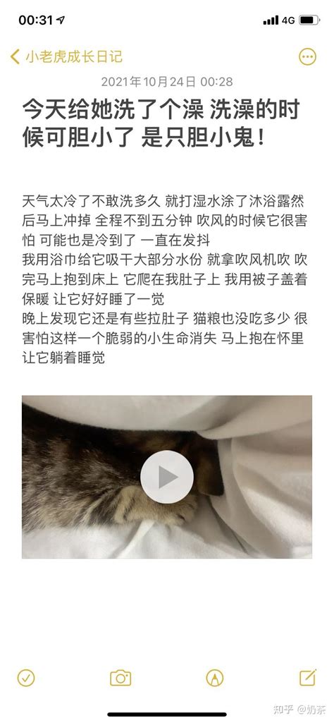 小脑斧成长日记！ 知乎