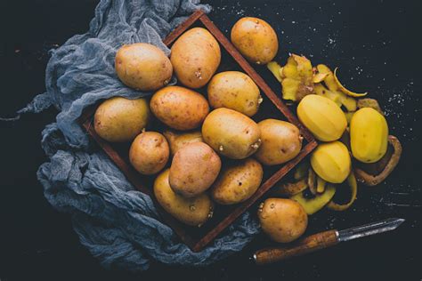 나무에 원시 감자 요리 텍스트에 대 한 여유 공간입니다 최고의 볼 수 있습니다 갈색에 대한 스톡 사진 및 기타 이미지 갈색 노랑 농업 Istock
