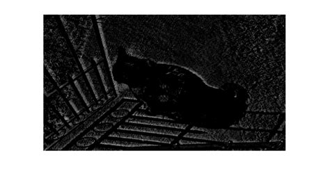 Dynamic Mode Decomposition