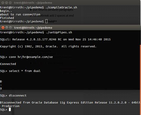 Command Line Redirecting Output From An Oracle Console Application In