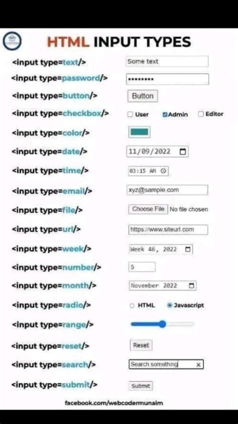 9 idées de learn coding online en 2025 langage informatique