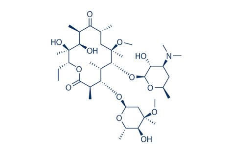 Clarithromycin P450 E G CYP17 Inhibitor Mechanism Concentration