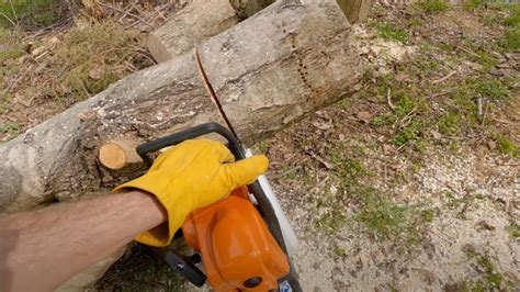Stihl MS 170 Chainsaw Review A Must Have For Woodworkers Forestry Reviews
