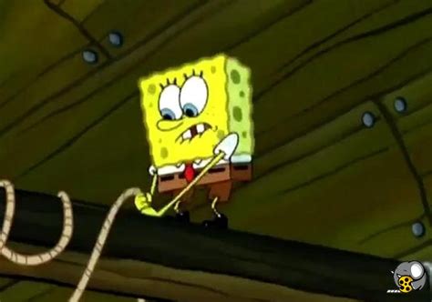 انیمیشن شاد باب اسفنجی و پاتریک کارتون باب اسفنجی فیلو