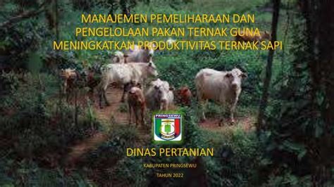 Ppt Sapi Manajemen Pemeliharaan Pptx