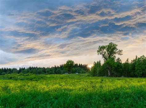 Biodiversity Net Gain Metric 40 What You Need To Know